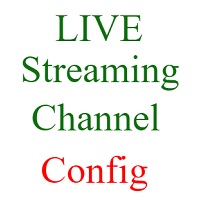 Live Streaming Channels Configuration In Professional Video Streaming